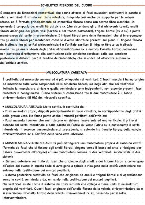 Riassunto Esame Anatomia Umana E Neuroanatomia Prof Crescimanno