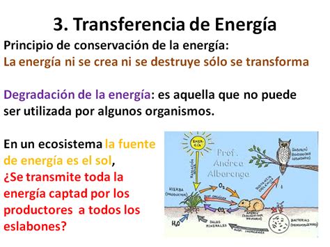 Biología del IES Pedro Gomez U D 7 4º ESO