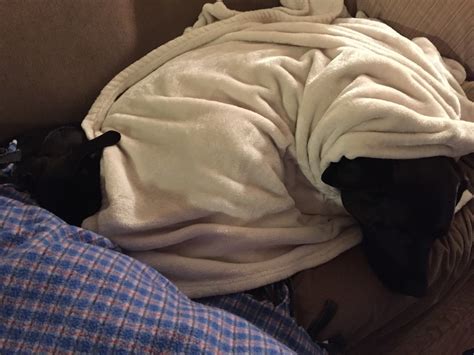 Wheres Waldo And Watson Vm Earth And Space Science