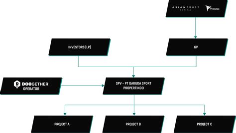 Investment Structure Garuda Sports