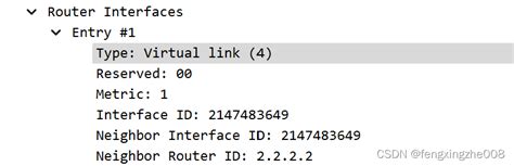 基于ipv6的ospfv3 isisv6 原理介绍 报文解析 配置示例 csdn博客