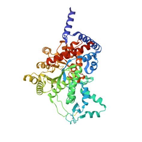 Rcsb Pdb 3lgd Crystal Structure Of Human Adenosine Deaminase Growth