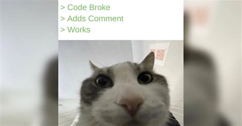 Programming Memes For Coding Geeks March 23 2025 Memebase Funny