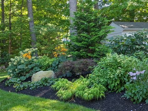 Shady Berm Garden The Big Babe Garden Nashua NH