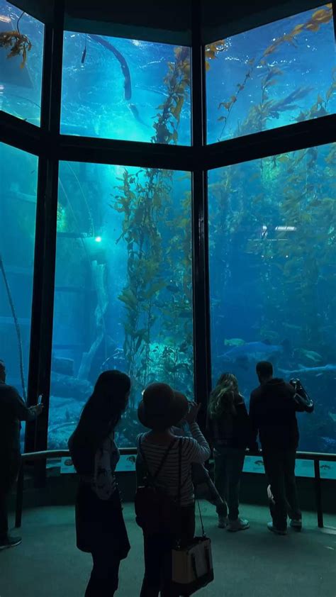 Monterey Aquarium California Travel Guide Monterey Bay Aesthetic Blue