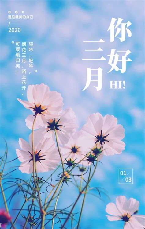 三月｜愿所有美好 不负归期澎湃号·政务澎湃新闻 The Paper