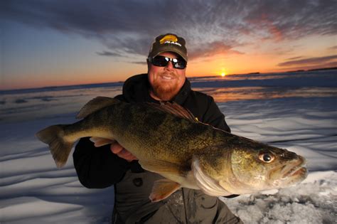 The Secret Tactics To The Mid And Late Ice Walleye Bite Virtual Angling