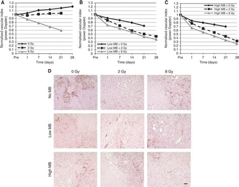 Long Term Response Monitoring Of Tumour Vasculature A Tumours Download Scientific Diagram