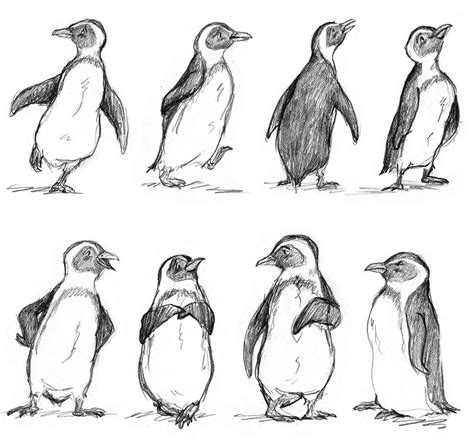 Penguin Pencil Drawing