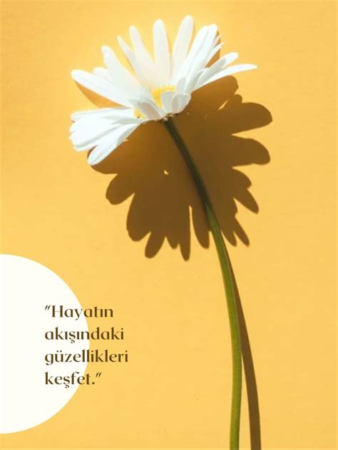 Aslıhan Sandal Posted On Linkedin