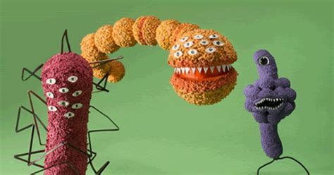 Bacteriology Powerpoint Lecture Notes