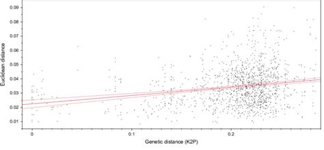 Correlation Between Pairwise Genetic Distances And Euclidean Distances