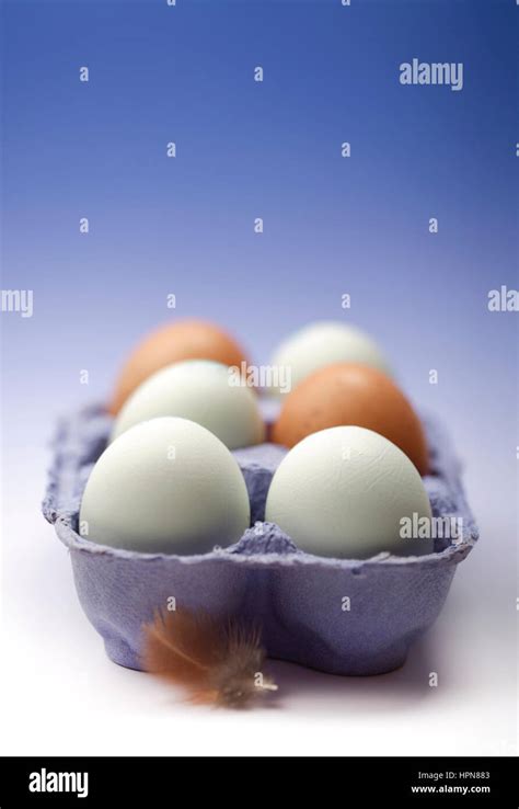 Blue Egg Hi Res Stock Photography And Images Alamy