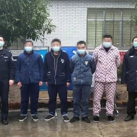 云溪警事四名盗羊贼落入法网 文桥 刘某 曾某