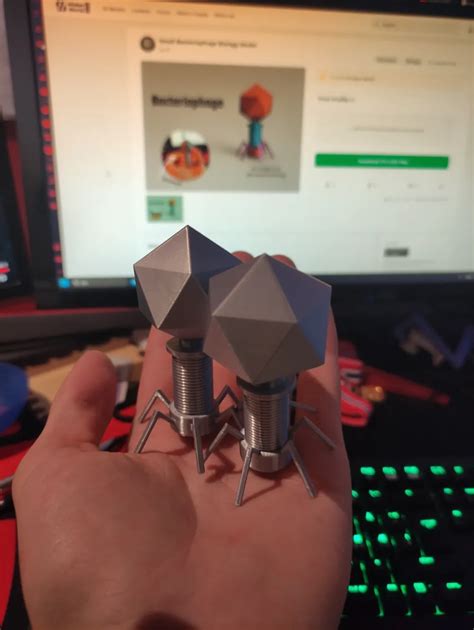Small Bacteriophage Biology Model By Pn79 Makerworld