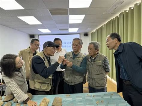 探索人类多地区起源学说 重庆巫山龙骨坡遗址第五阶段考古发掘取得阶段性成果 化石网