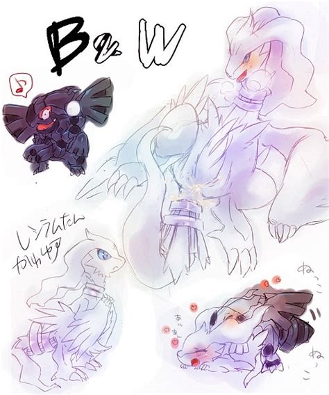 Post 469233 Porkyman Reshiram Zekrom