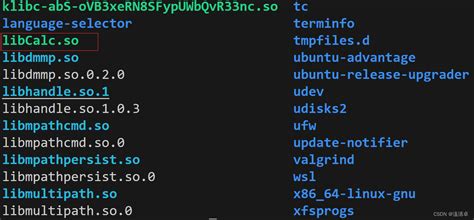 03linux下静态库和动态库（共享库）的制作与使用linux静态库和动态库的制作 Csdn博客