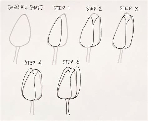 Spring Flowers Drawing Step By Step At Mary Aplin Blog