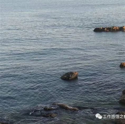 昨天当众掀桌子的那个同事升职了高情商从来都不是不发脾气 阿峰 老好人 情绪