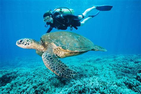 Tatilliyoruz Turizm Fethiye Tripadvisor