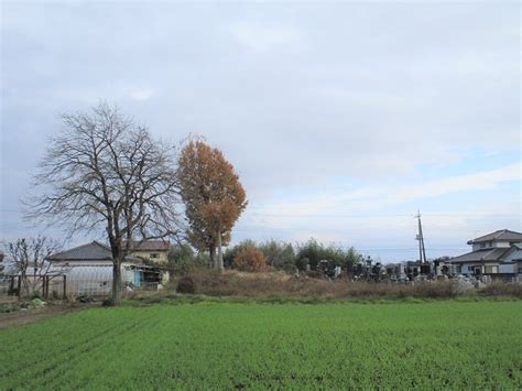 栃木県河内郡上三川町上三川 常光坊5号墳常光坊7号墳 古墳探訪記