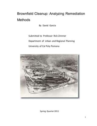 Brownfield Remediation Final Paper PDF