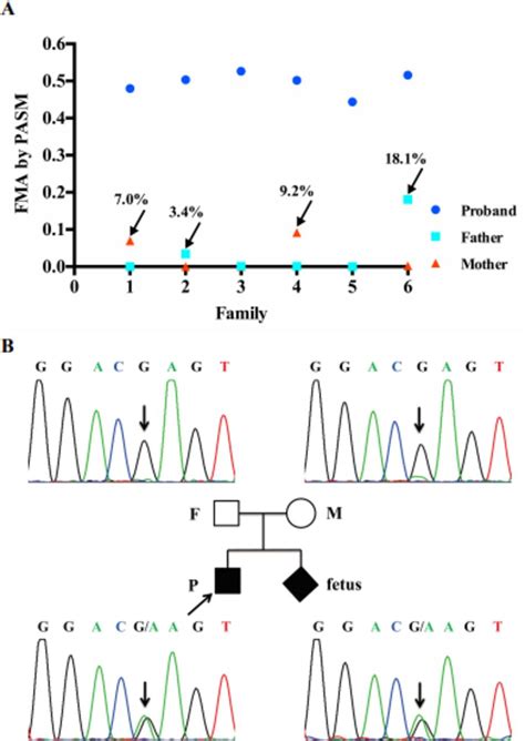 Clinical Spectrum And Genetic Variations Of Lmna Related Muscular