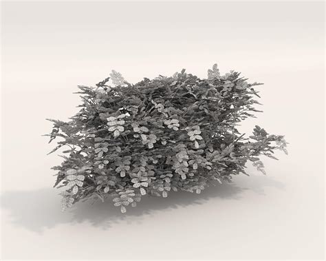 Realistic Shrub Bush Set 4 3D Model By Nhattuankts