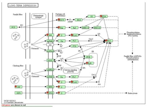 Ijms Special Issue Molecular Links Between Periodontitis And