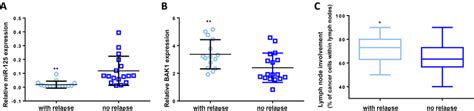 Mir 125b Targets Bak1 Mrna In Human Npm Alk Positive Alcl Primary