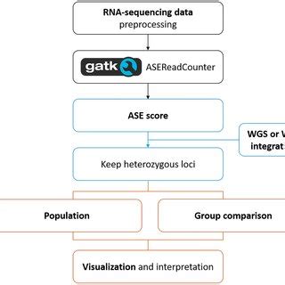Overview Of The Pipeline This Analysis Plan Allows The Inclusion Of Download Scientific