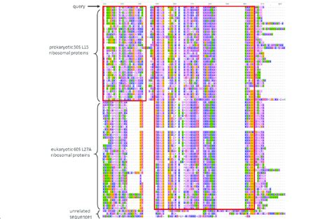 Part Of An Example Alignment From The Balibase Benchmark Suite Aligned