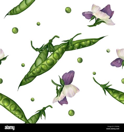 Seamless Pattern With Green Pea Pods Peas And Purple Flowers Hand