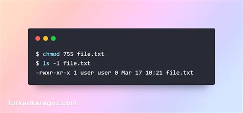 Linux Dosya İzinleri Ve Chmod Komutu Kullanıcıların Grupların Ve Diğerlerinin İzinlerini