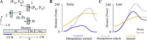 Quantification Of Motor Coordination In Multifinger Manipulation A Download Scientific