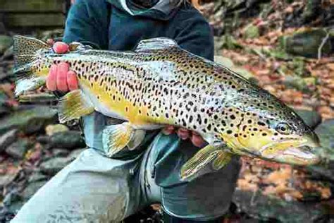 How Religion And Politics Exploit Behavior Modification Techniques