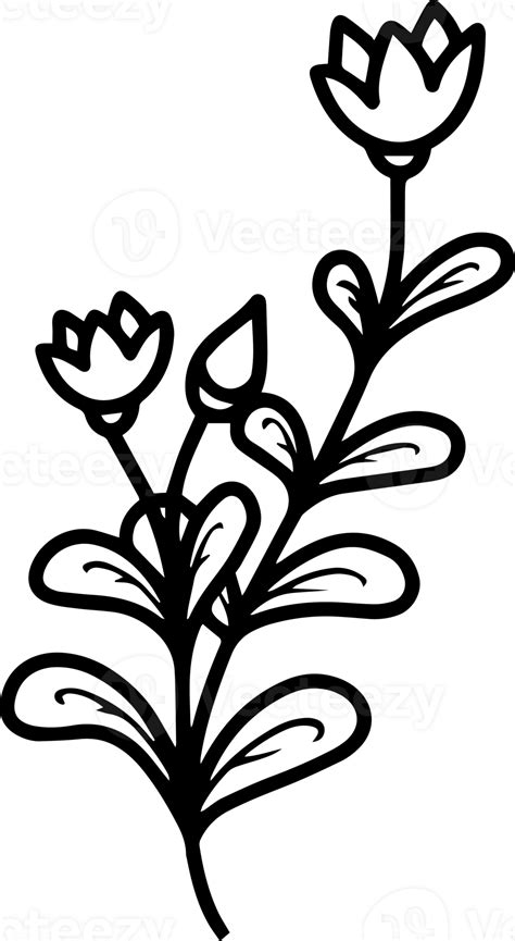 Hand Drawn Flower Sketch Line Art Illustration 10863207 Png
