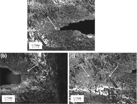 Fracture Surface Analysis By Stereo Microscope Download Scientific