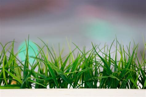 Scene Green Grass Images Free Download On Freepik
