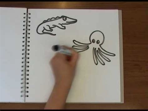 Why Do Chameleons Change Colour Naked Science Scrapbook Youtube