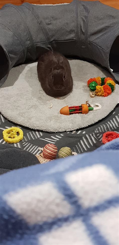 My Lil Mocha Does Loaf Rlagoloaf