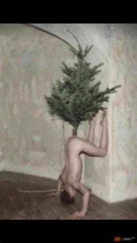 The Last Worst Sub On Reddit