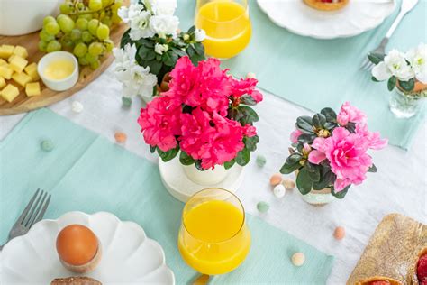 A Pasqua Rallegra La Tavola Con Lazalea Di Gand Gentse Azalea
