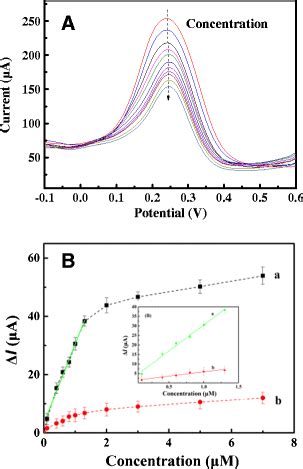 A DPV Responses Of MIP RGO SPCE After Rebinding In EC Solutions At