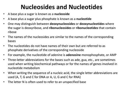 Lecture 7 Nucleic Acids Pdf