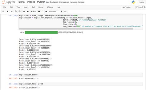 in multiclass explanations local pred and score are only stored for
