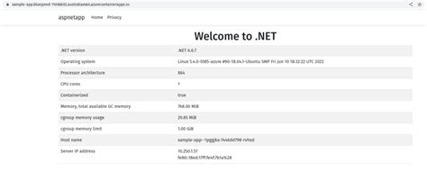 Deploy A Sample Microsoft Container App Playtime Solutions