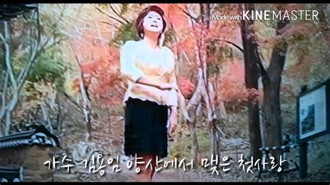 가수김용임ㅡ양산에서 맺은 첫사랑사진동영상2015127 Youtube