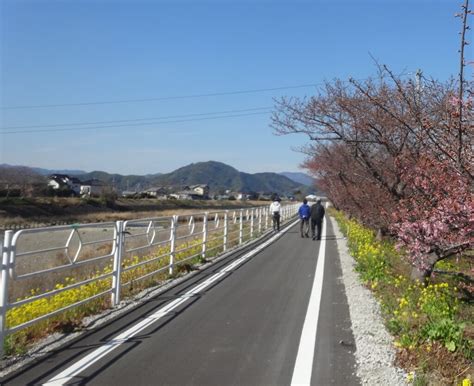 焼津市山の手さくら2024年 駐車場開放始まりました しずおか農山村サポーター むらサポ